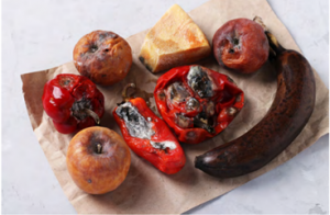 Frigo naturel : comment construire en 7 étapes son zeer pot