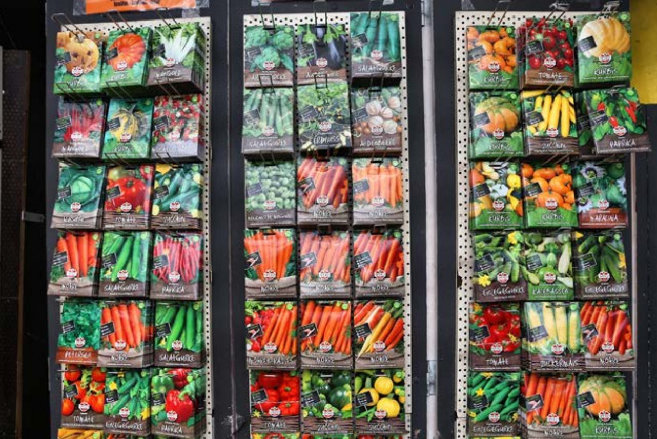 Les graines pour potager : où acheter des variétés de qualité ...