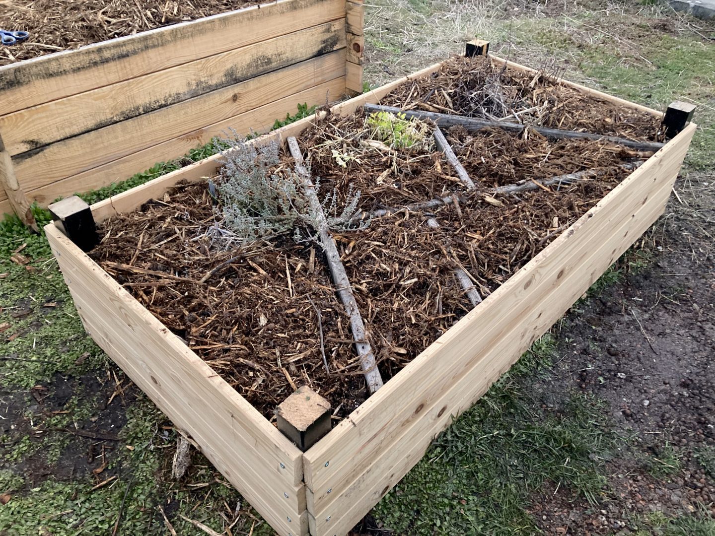Ton Bac de culture potager pour 0€ ! - apprendre-preparer-survivre.com