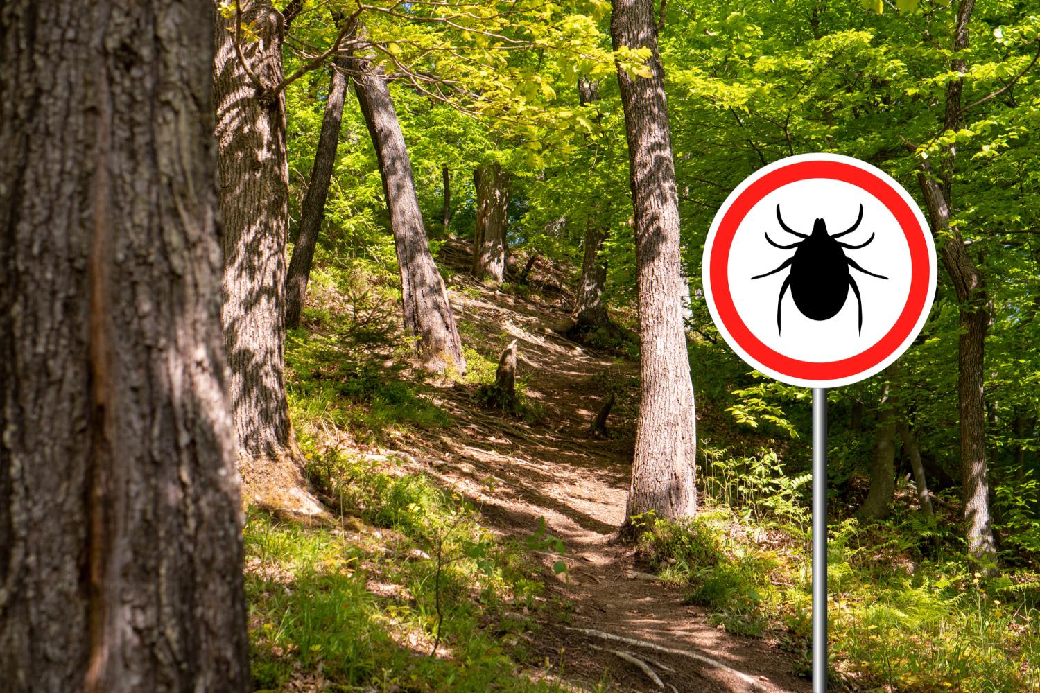 Morsures, piqûres, empoisonnements en excursion