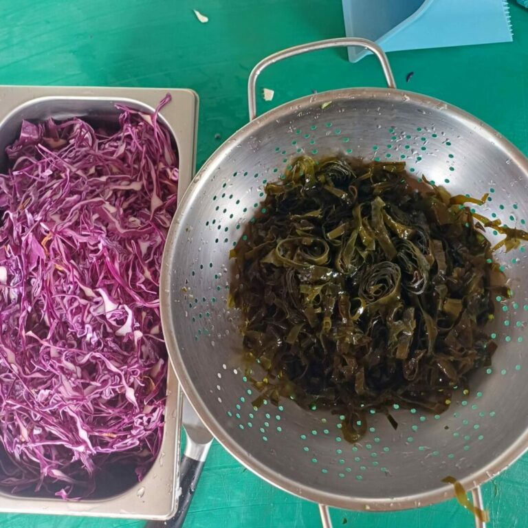 Faire des pickles maison : une méthode simple pour conserver